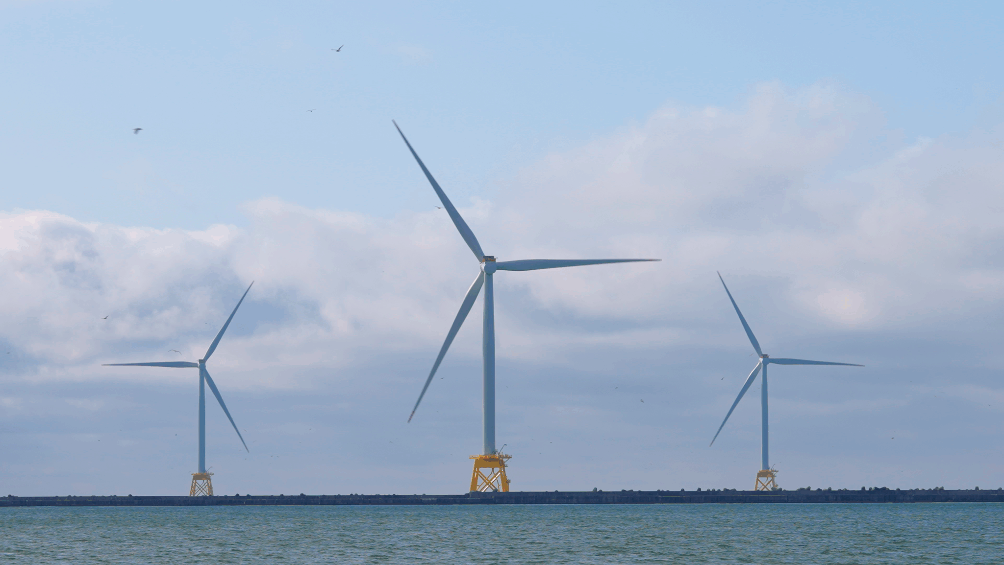 Projects | JERA Nex bp